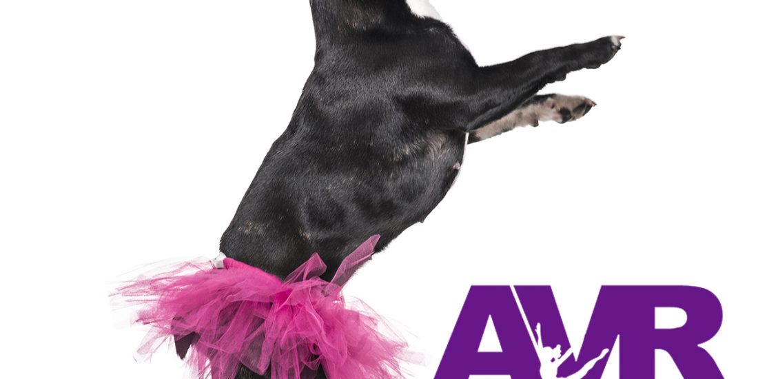 AVR Home | AVR Dance